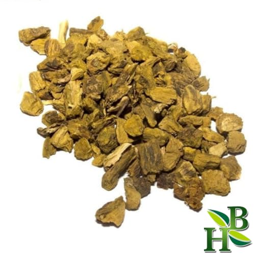 wildcrafted yellow dock root benefits