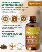 Wildfield Herbs propolis drops