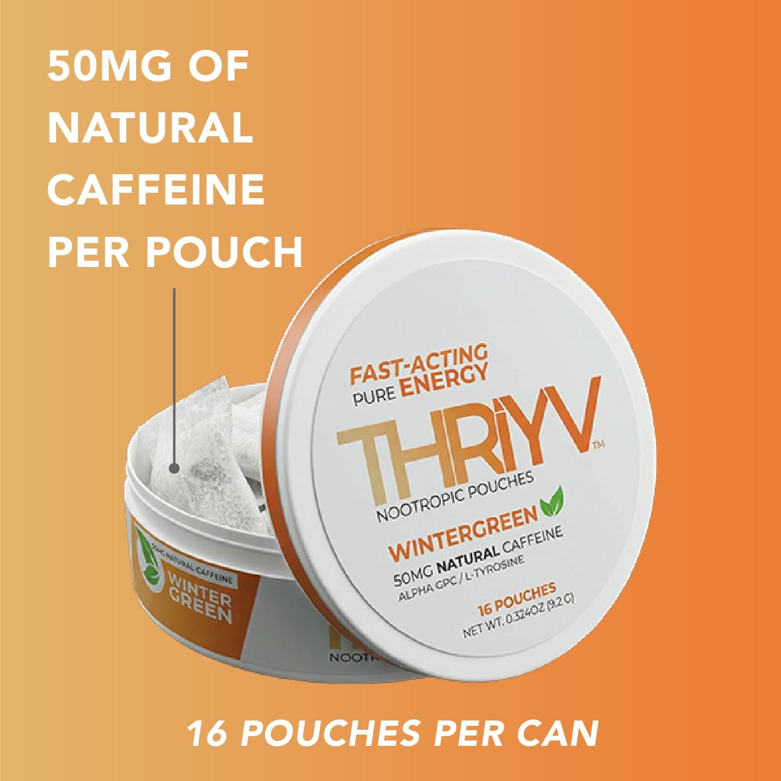 Wintergreen flavour endurance pouches