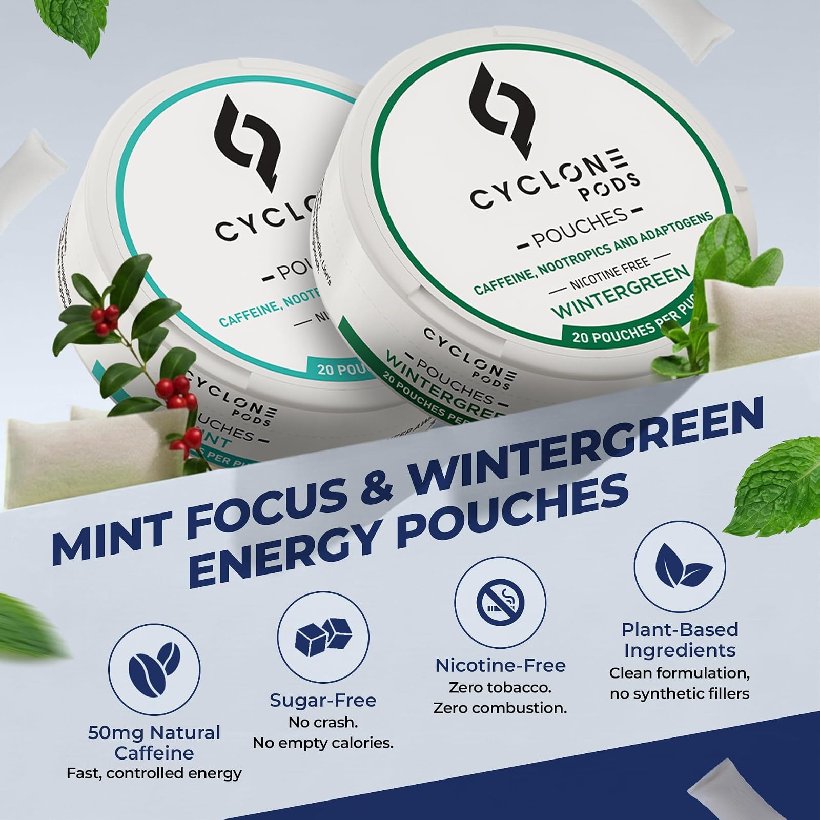 Wintergreen flavour endurance pouches