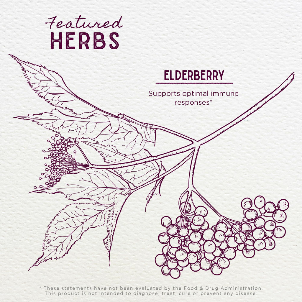 wishgarden elderberry for seasonal wellness