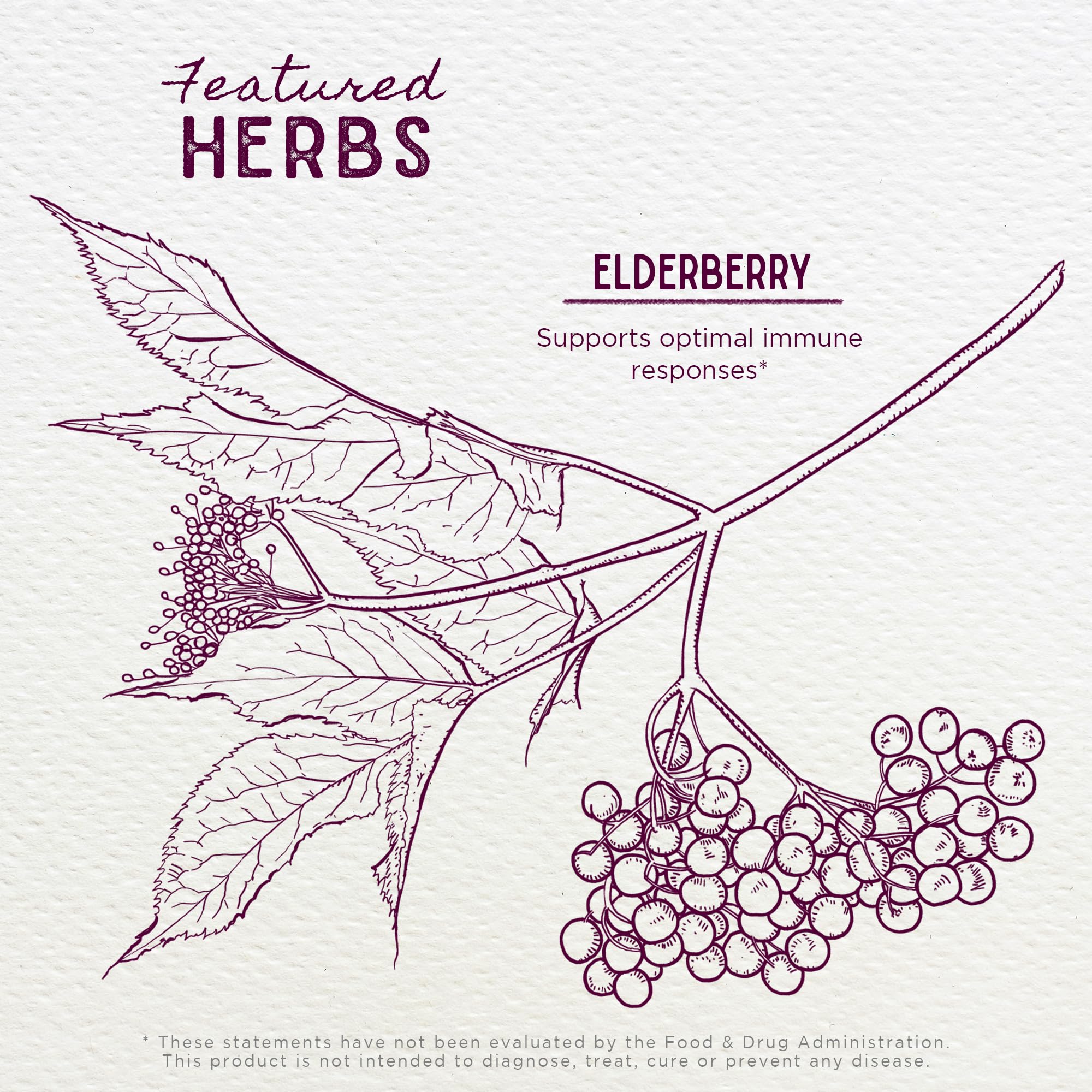 wishgarden elderberry for seasonal wellness