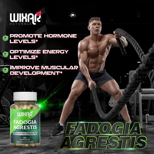 Wixar Fadogia Agrestis health benefits