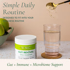 women's digestive health supplements