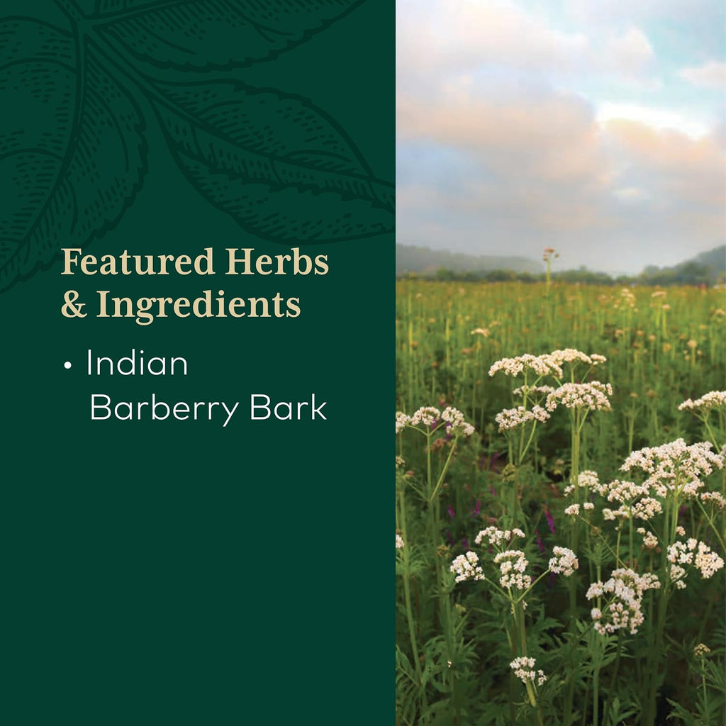 women's health multivitamin with herbs