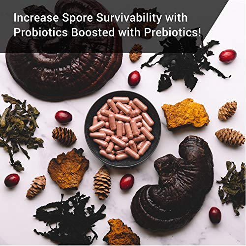 Women's health supplement with probiotics