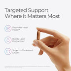 women's multivitamin for cholesterol management