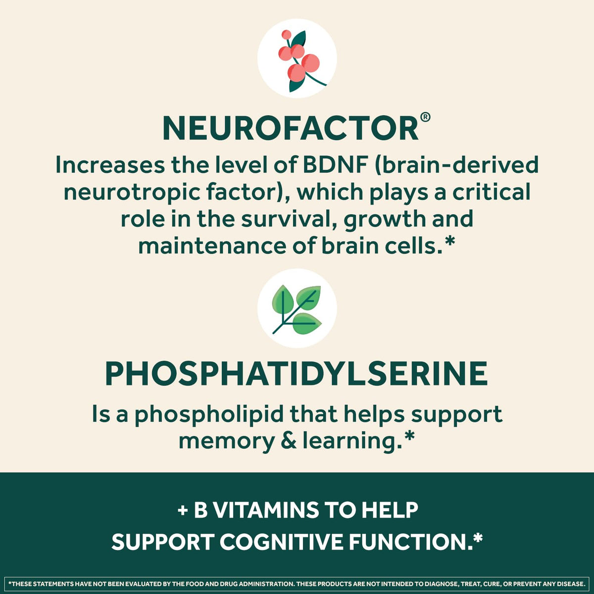 women's multivitamin for mental clarity