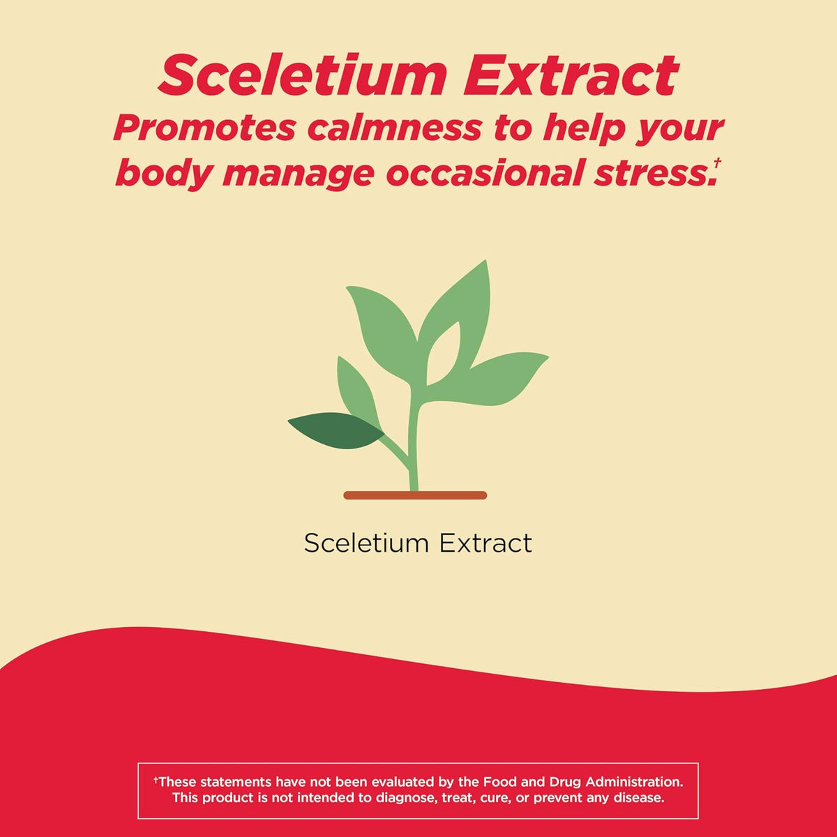 women's multivitamin for muscle health