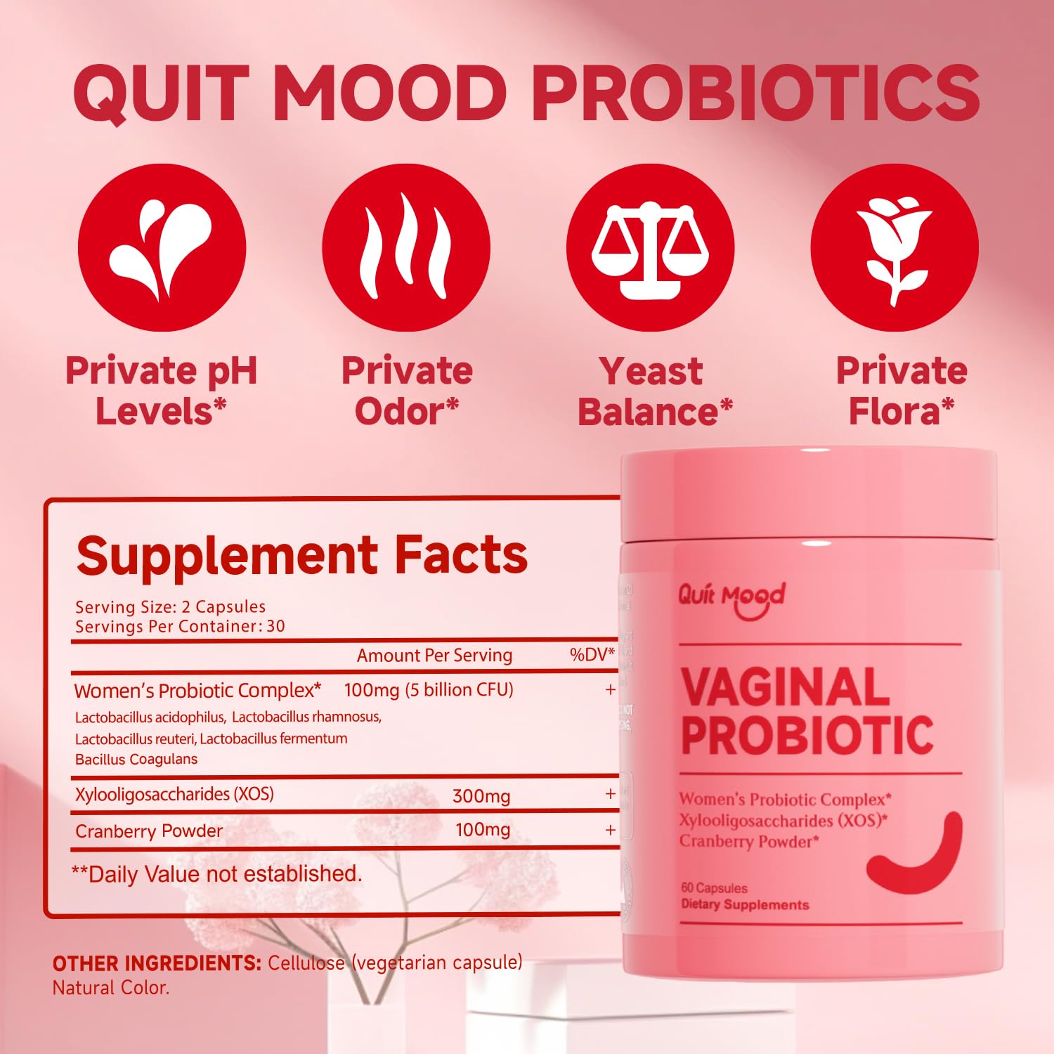 Women’s probiotics for daily wellness