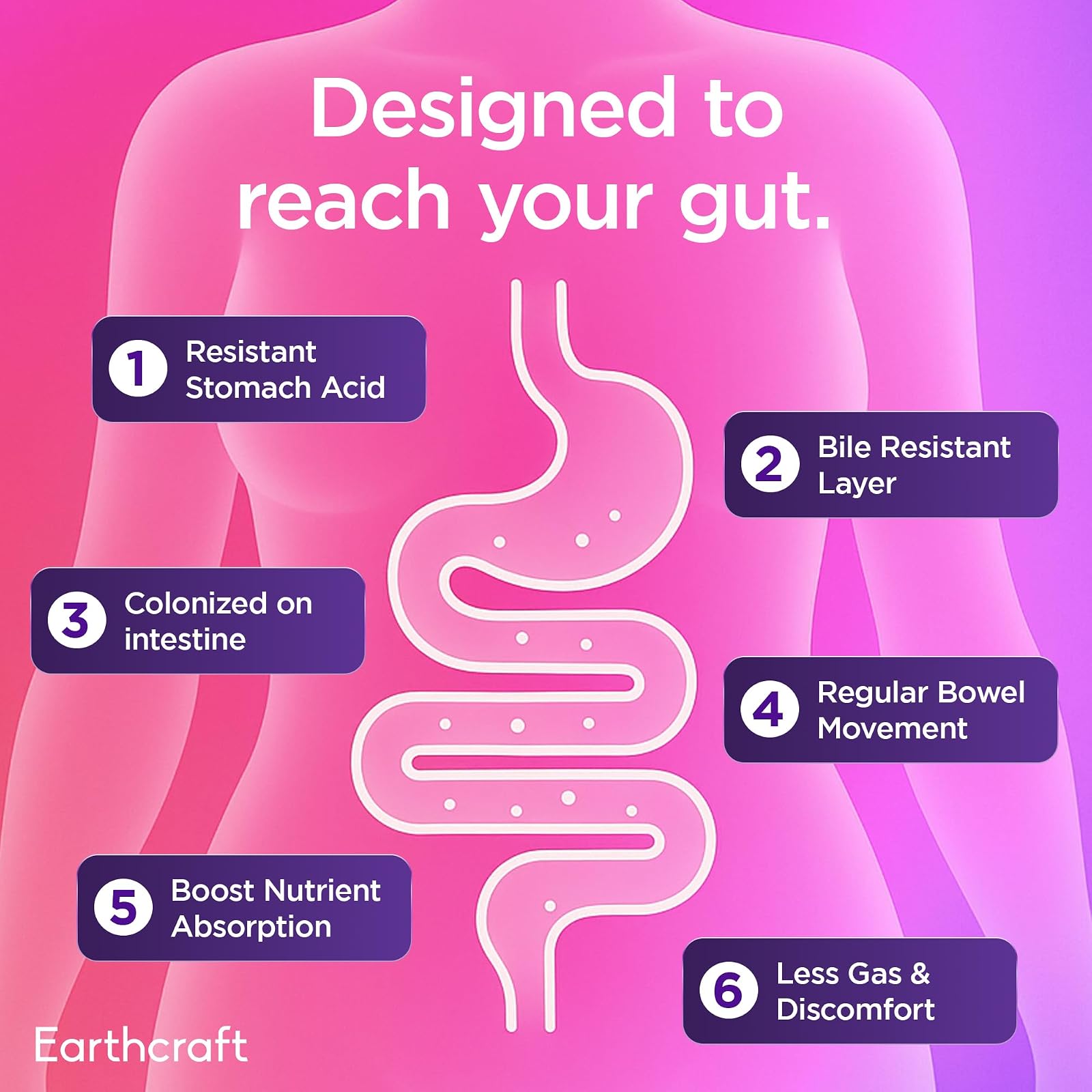 women's probiotics for gut balance