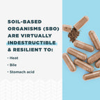 women's probiotics for gut balance
