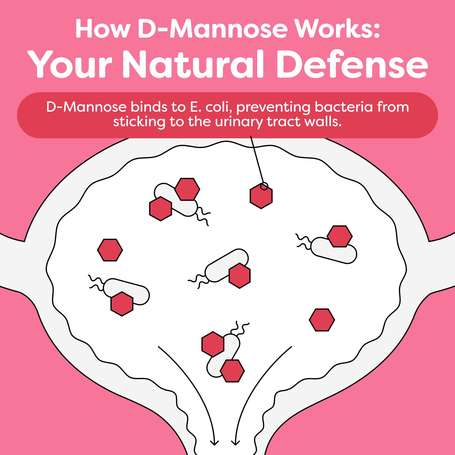 Women's probiotics for urinary balance