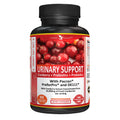 women's urinary support probiotic capsules