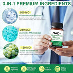 Women's wellness NAD supplement benefits