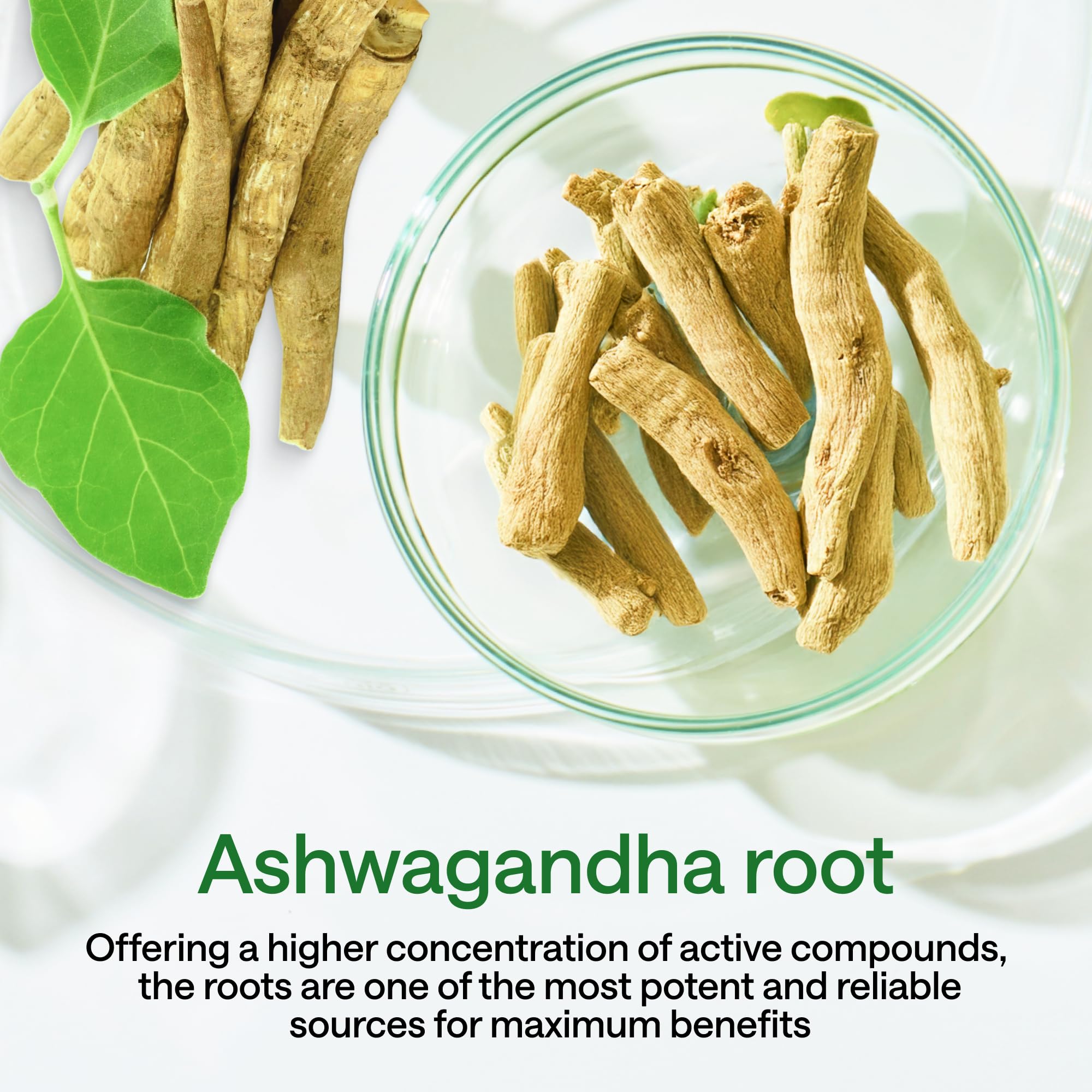 WONDER FAMILY ashwagandha for bodily comfort