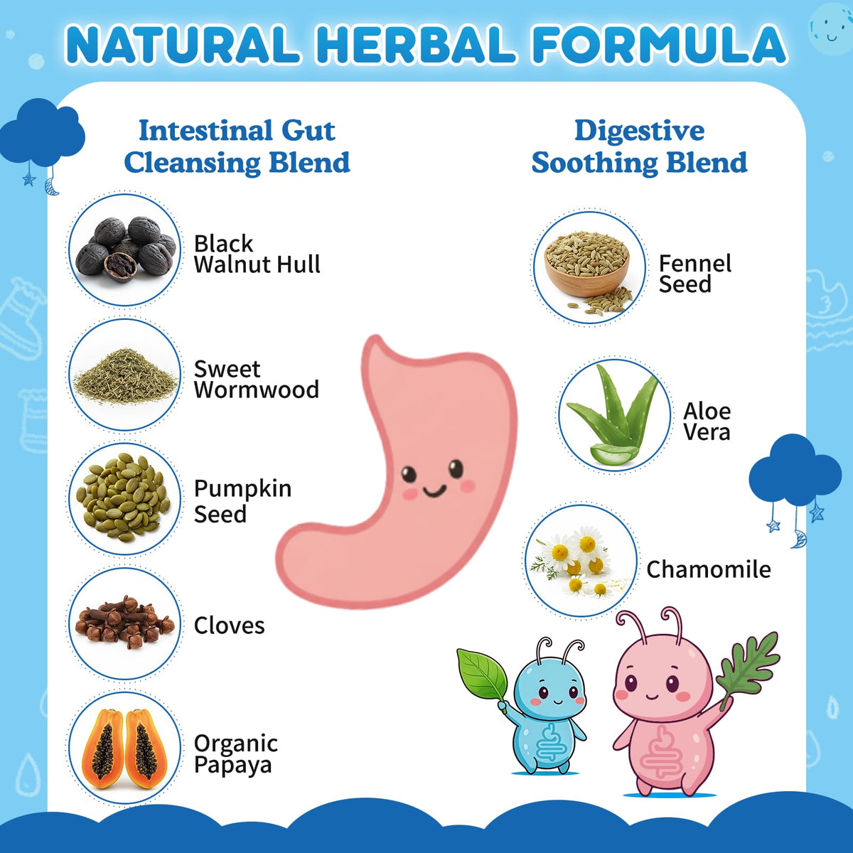 Wormwood Black Walnut Clove health