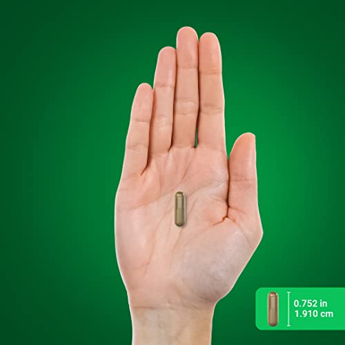 Wormwood extract for overall vitality