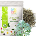 Wormwood herb tea for digestion