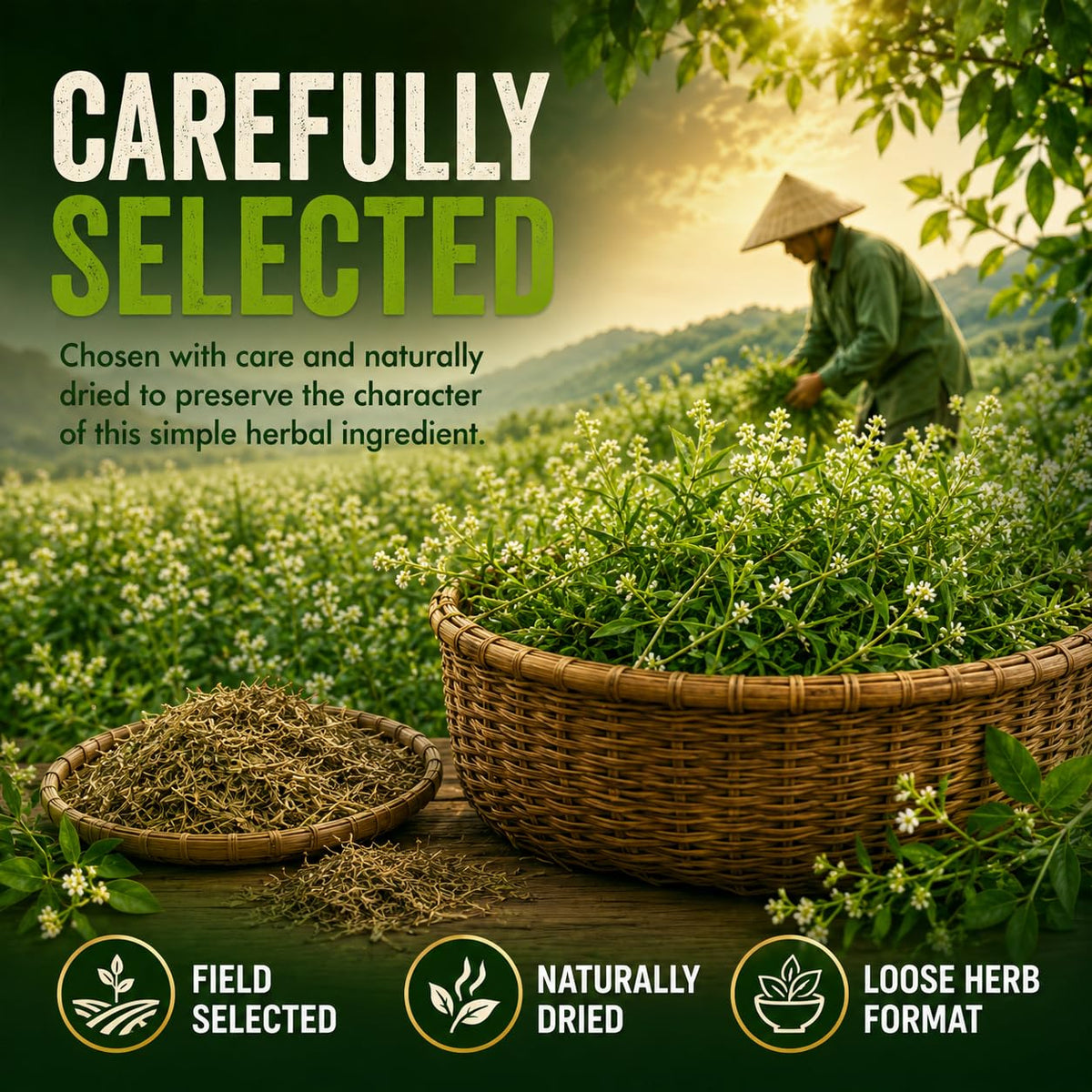 WOTIHA Cleavers for skin health