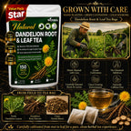 WOTIHA dandelion tea for wellness