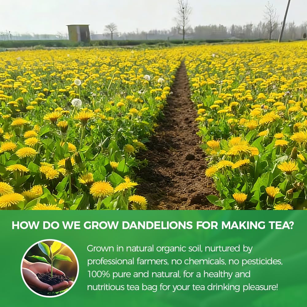 WOTIHA herbal tea for detox