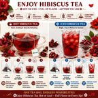 WOTIHA herbal tea for iced drinks