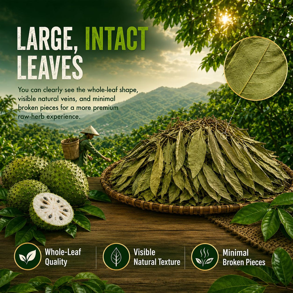 WOTIHA soursop leaves for relaxation