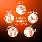 X Ray Dol capsules for mobility