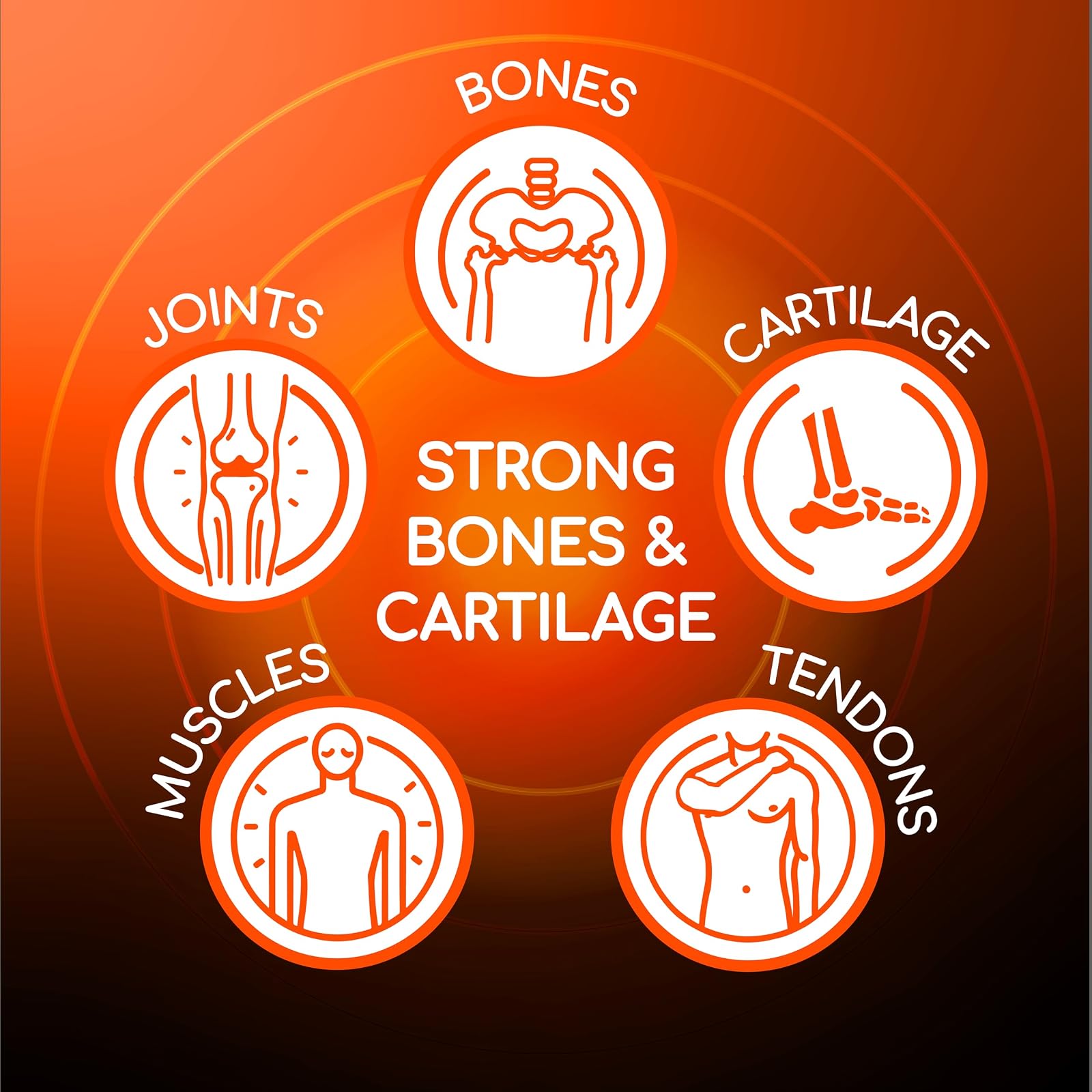 X Ray Dol capsules for mobility