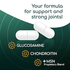 X Ray glucosamine chondroitin formula