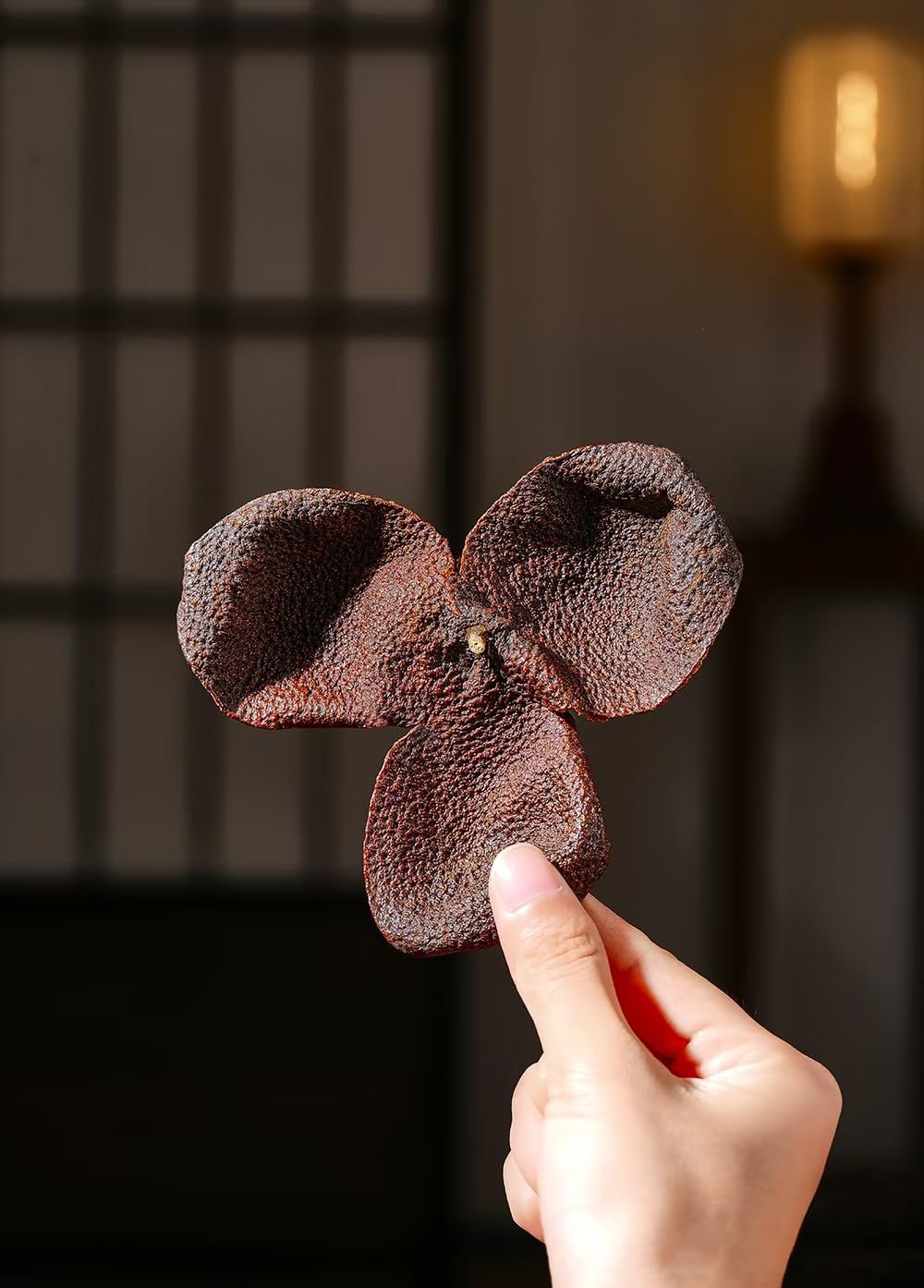 Xinhui Chenpi natural flavour enhancer