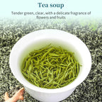 XIXICHA green tea for energy boost