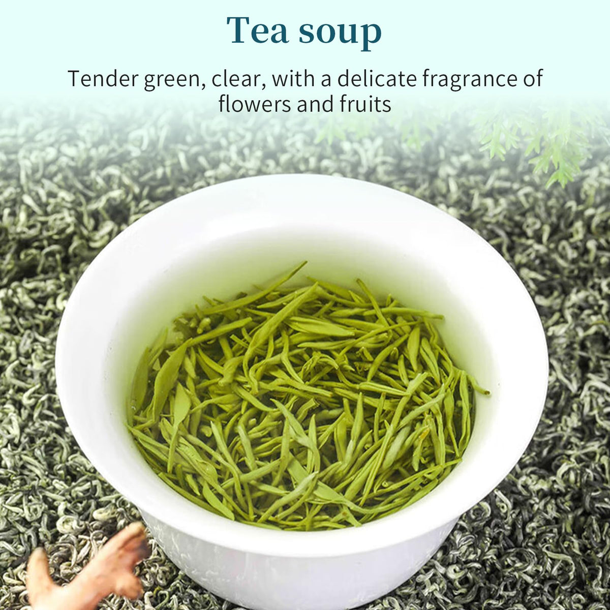 XIXICHA green tea for energy boost