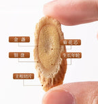 xlseafood astragalus slices for immune support
