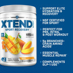 Xtend BCAA powder for workout support