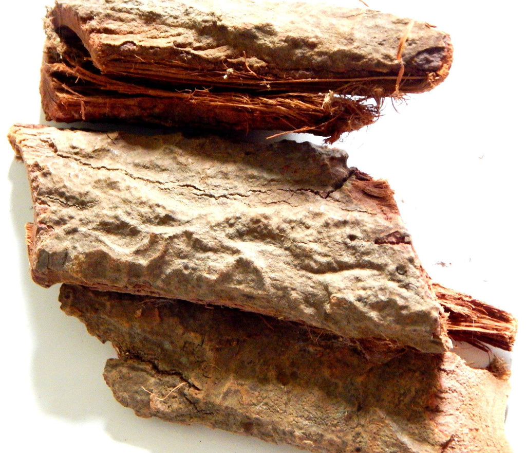 XUETZALCOATL Ashoka Chhal benefits
