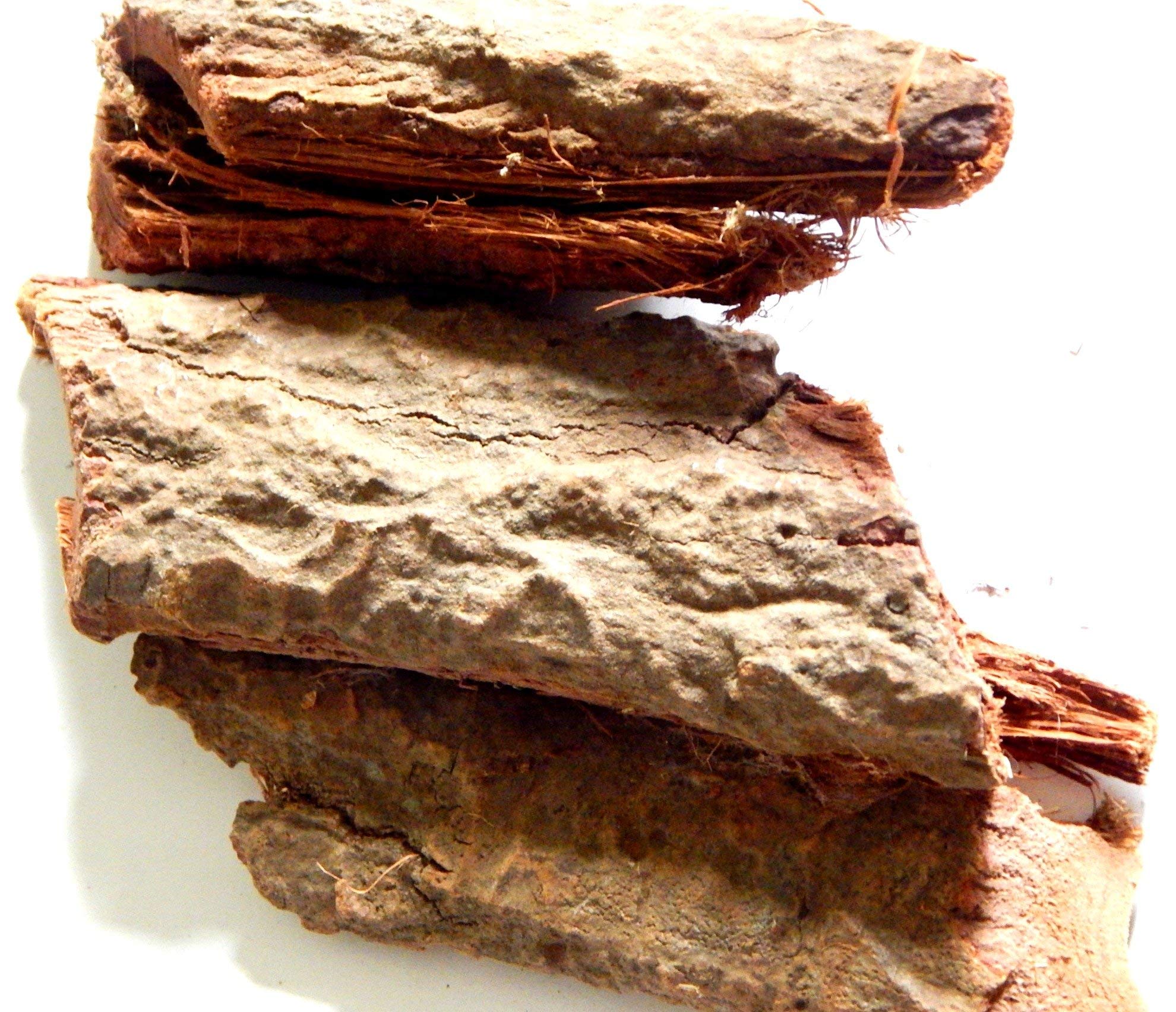 XUETZALCOATL Ashoka Chhal benefits