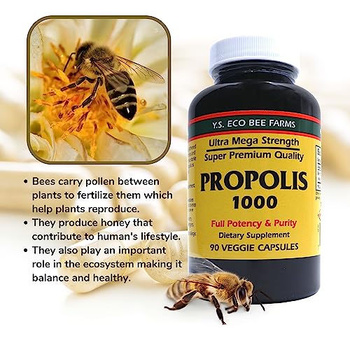 Y.S. organic bee farms wellness support