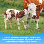 YAAHARO colostrum for beauty routine