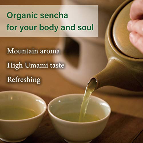 Yabukita cultivar green tea