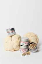 Yamabushi Farms Lion's Mane extract