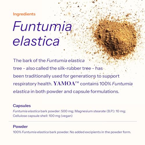 Yamoa Funtumia elastica for enhanced immunity
