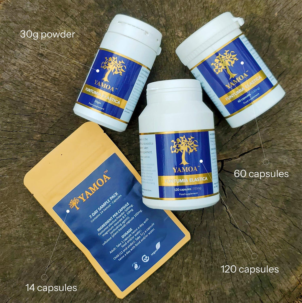 Yamoa Funtumia elastica natural health solution