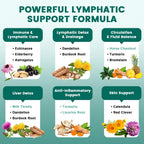 YANLUOBO echinacea for lymph health