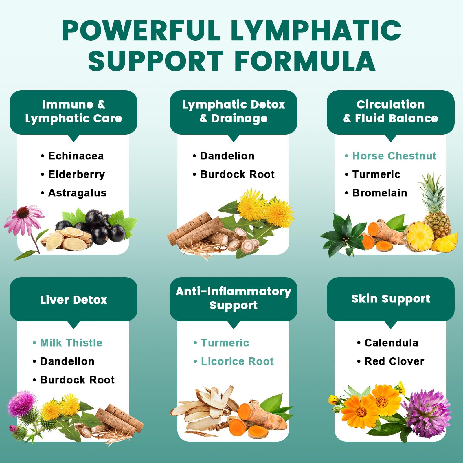 YANLUOBO echinacea for lymph health