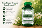 yarrow flower for digestive health