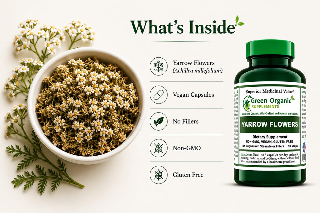 yarrow flower for immune support
