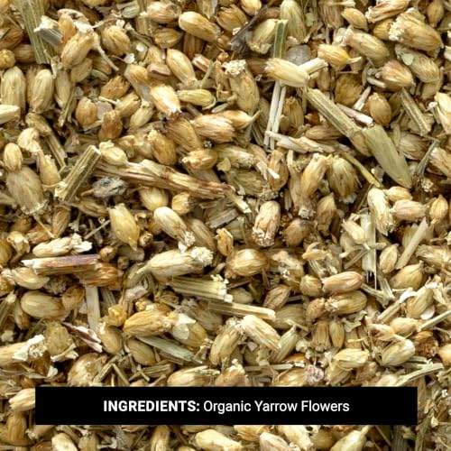 yarrow flowers for digestive support