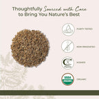 yarrow flowers for natural detox tea